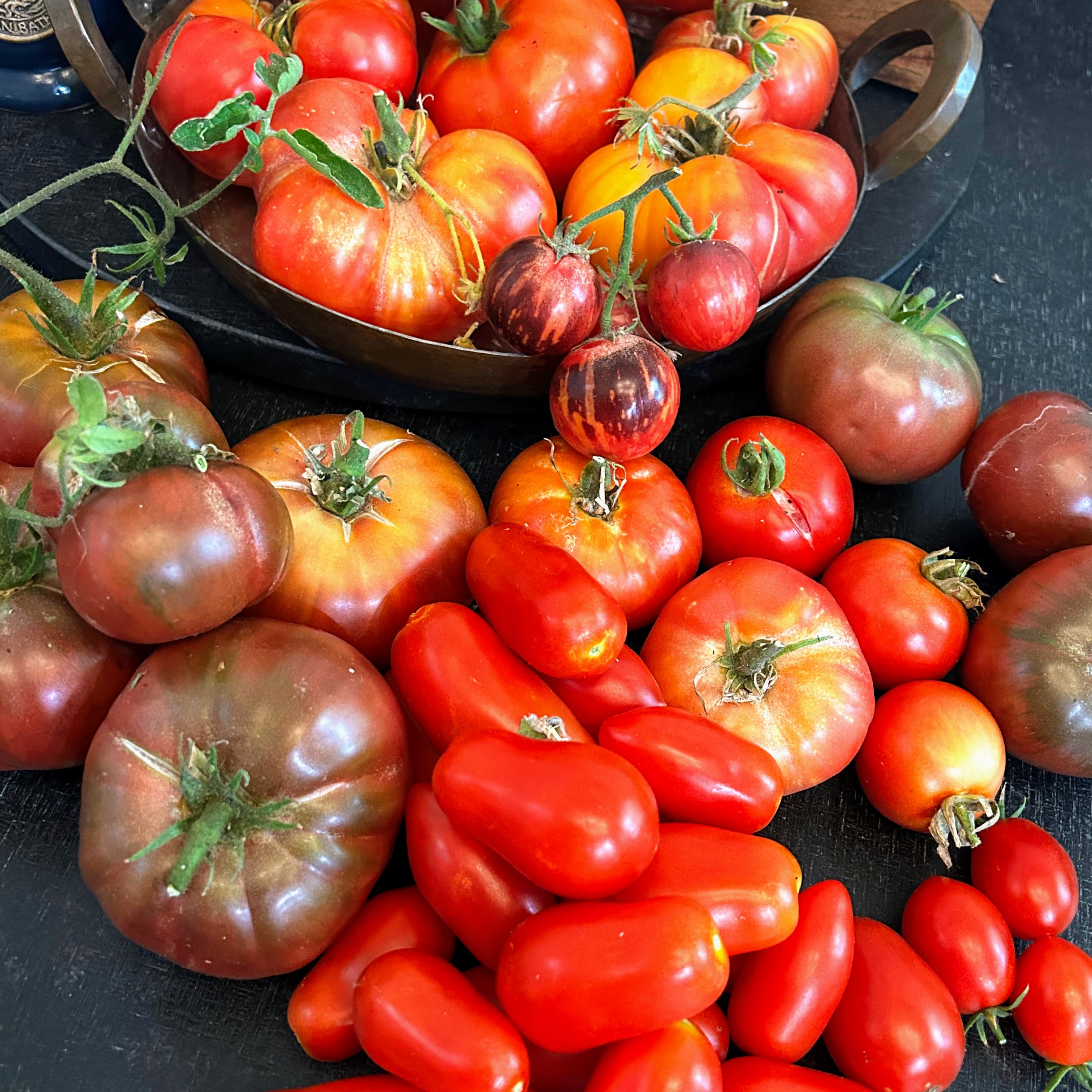 How to grow pest free tomatoes - gardening edibles